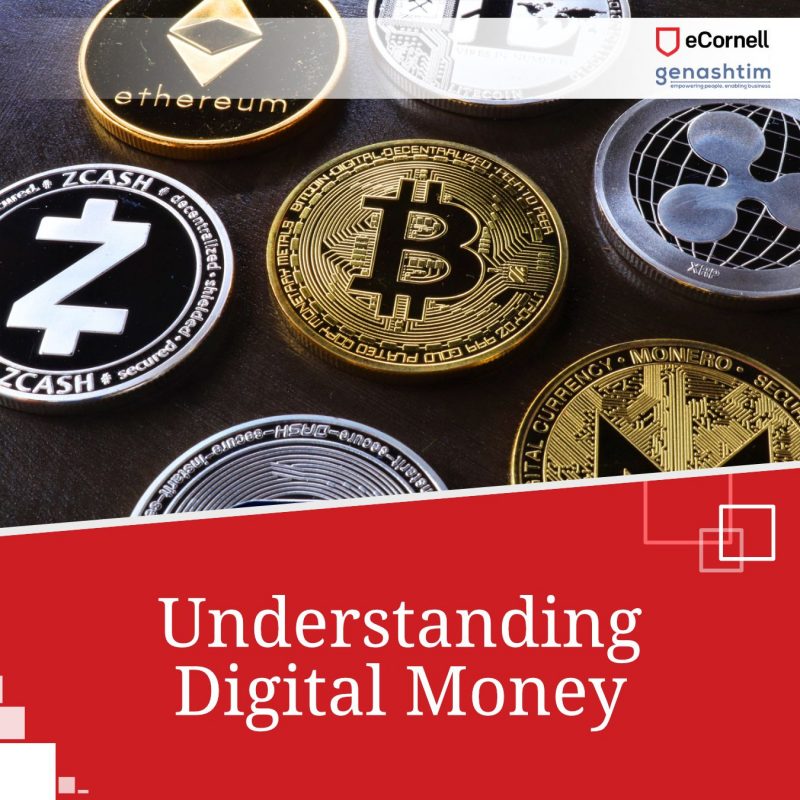 Understanding Digital Money - Genashtim